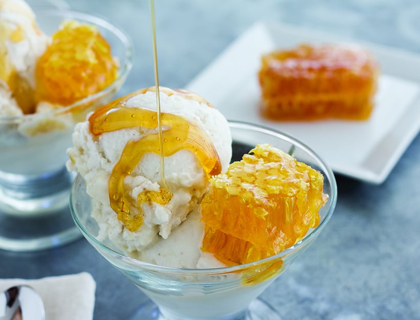 9 Best Healthy Ice Cream Recipes For Guilt-Free Bliss - Amber Bodily Health